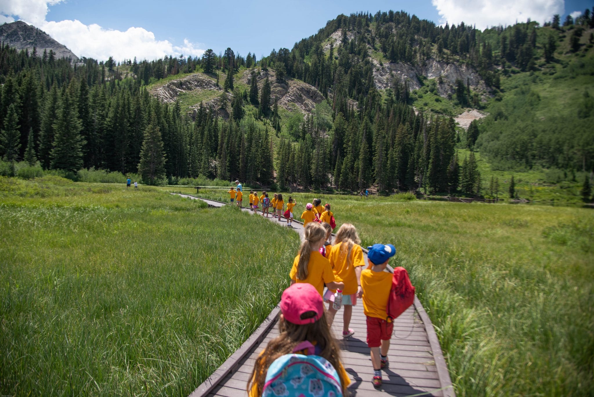 SUMMER CAMPS - The Winner School